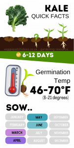 Common Pests for Kale: Garden Problems & Solutions